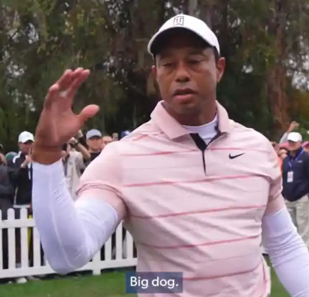 The Shank Show - Issue #24