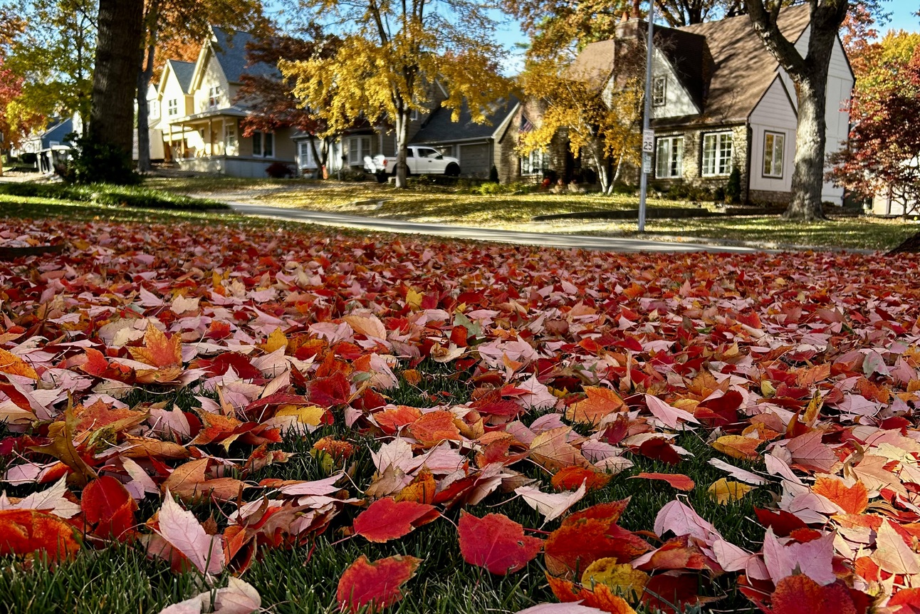 Bet Your Autumn Dollar 🍁