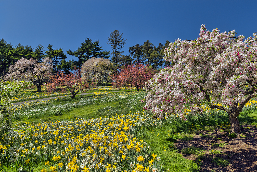 6 SKILLS On How To Make Halal Income And Start A Business