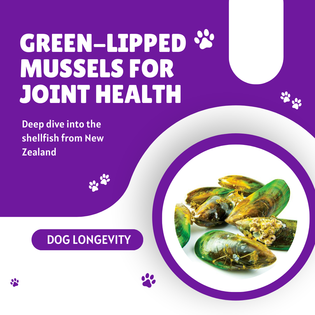Green-Lipped Mussels for Joint Health