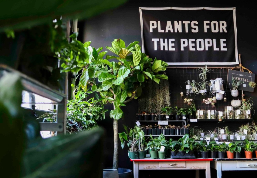 We’re giving these Calgary plant shops a big green thumbs up!