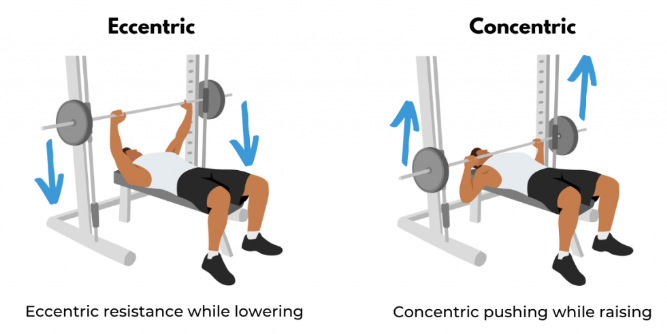 Negative Reps and Tempo Training Are the Secret Weapons for Building Muscle