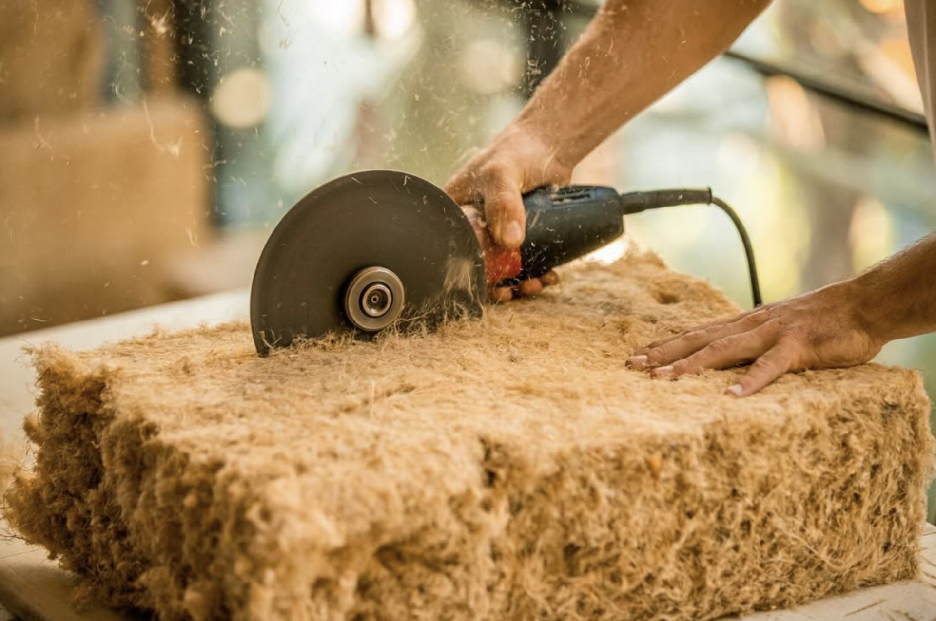 🌐 Hemp Grows Up: A Long-Awaited Crop Now Insulates U.S. Homes
