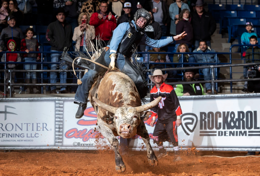 The Bull Don't Care