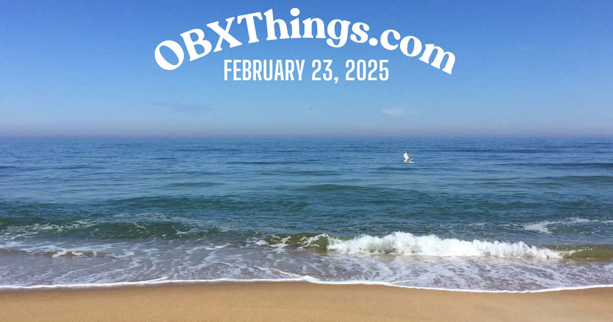 Things to Do on the OBX for Sunday February 23, 2025