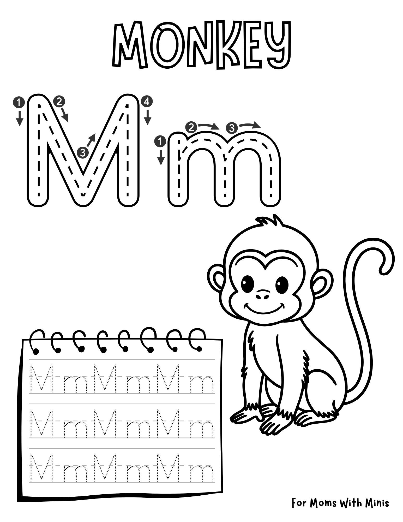 The Letter M is for Monkey