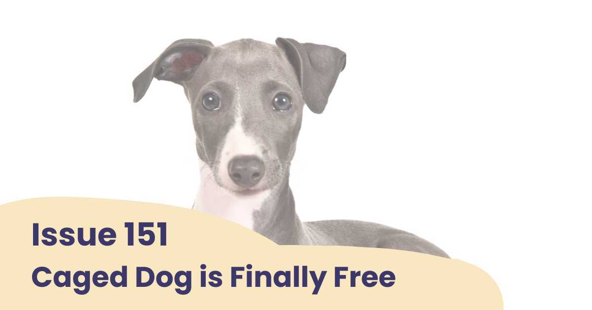 🐕 Caged Dog is Finally Free