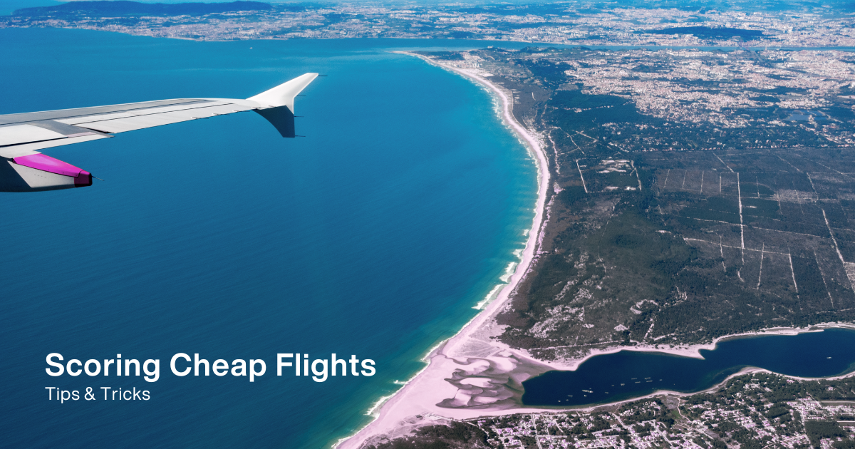 🗞️ Scoring Cheap Flights + New Route to Abu Dhabi