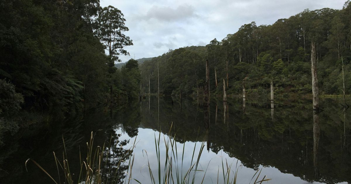 WATCH: Lake Elizabeth