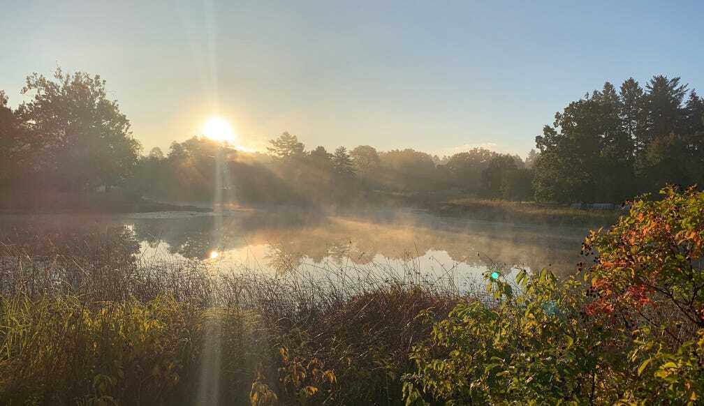 Running Around Illinois: Morton Arboretum