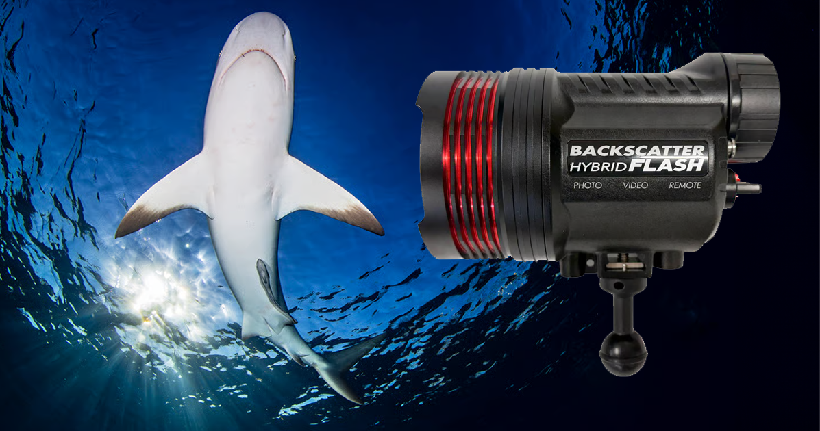 Backscatter HF-1 Strobe Review