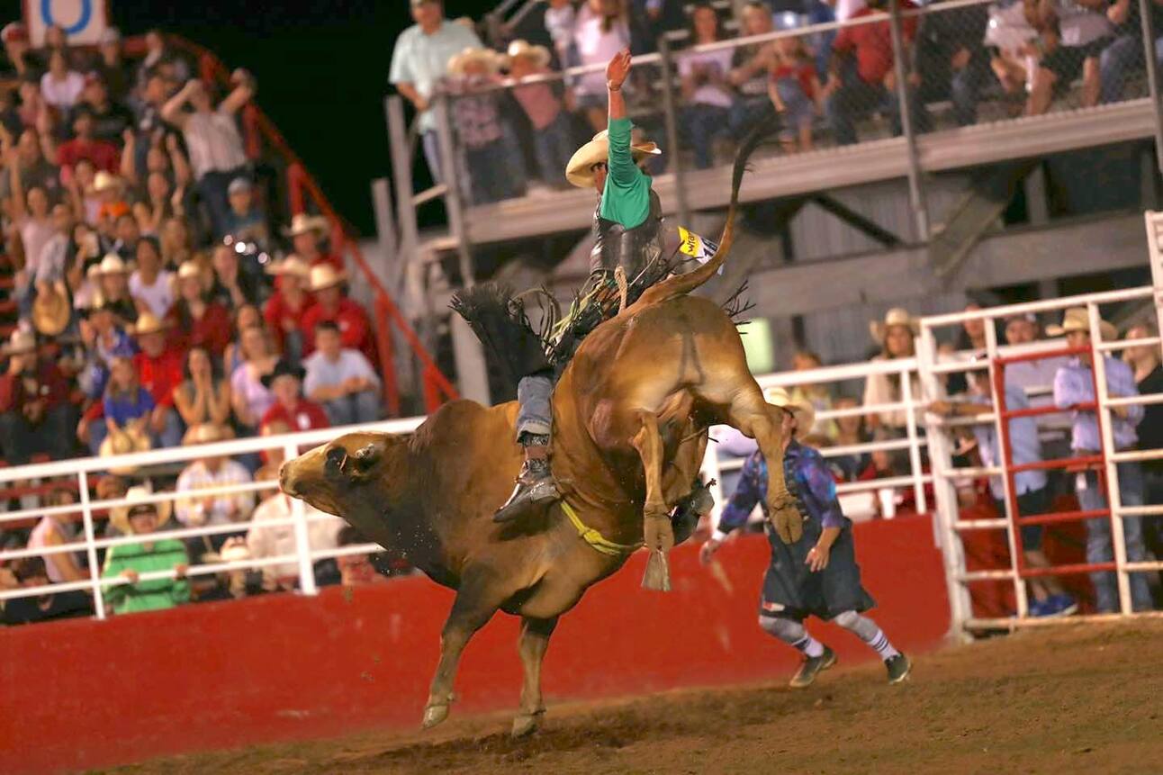 Live Like You Were Dying