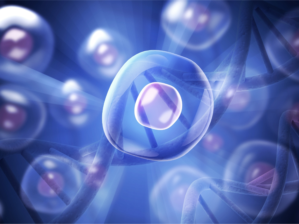 Understanding Autophagy: Your Guide to Cell Renewal