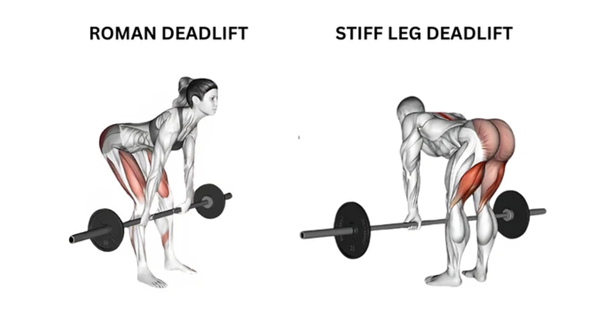 RDLs vs SLDLs Here's the Difference