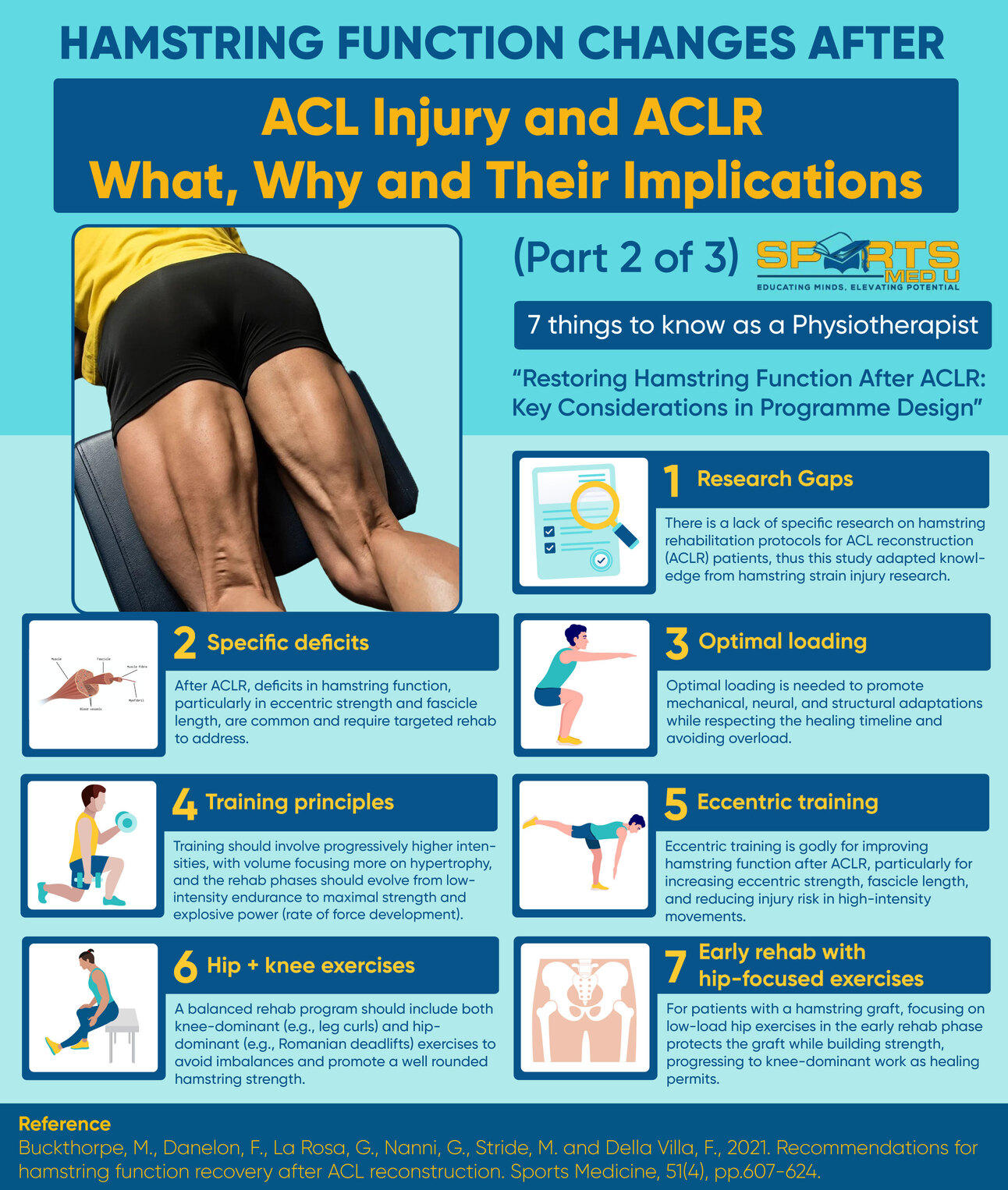 Hamstring Rehab - Program Design After ACLR (Part 2 of 3)