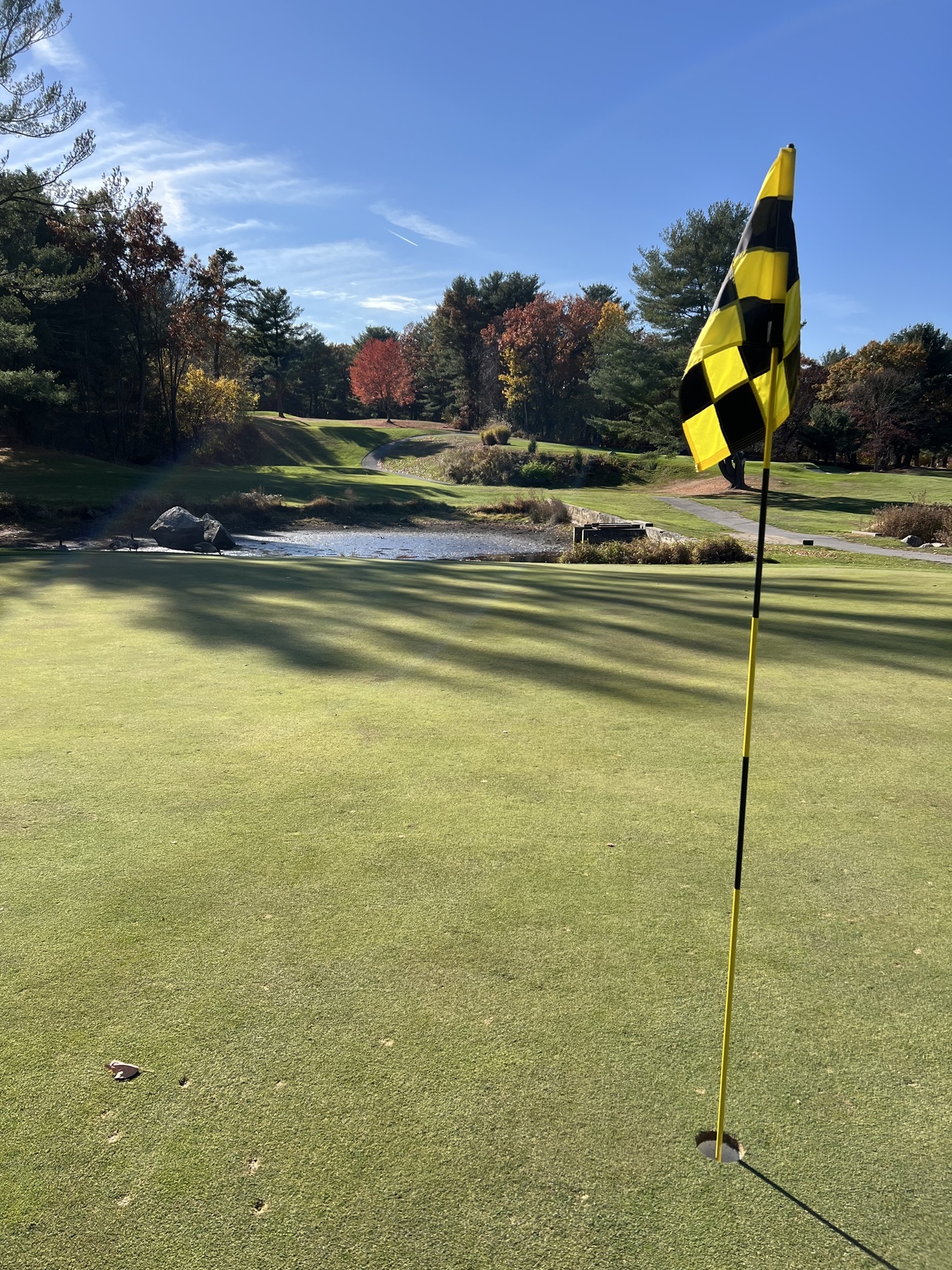 Course 140: Pine Meadows