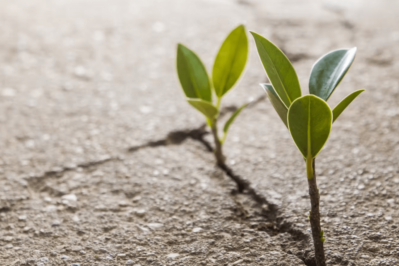 God Shapes Us Most Deeply Through Failure