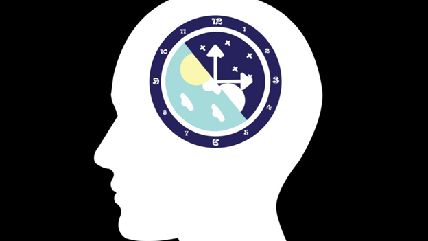 The Effectively Body Clock