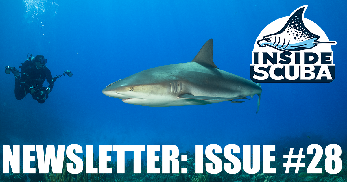 Inside Scuba Issue #28