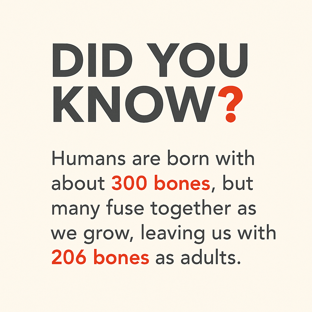 Why Babies Have More Bones Than Adults
