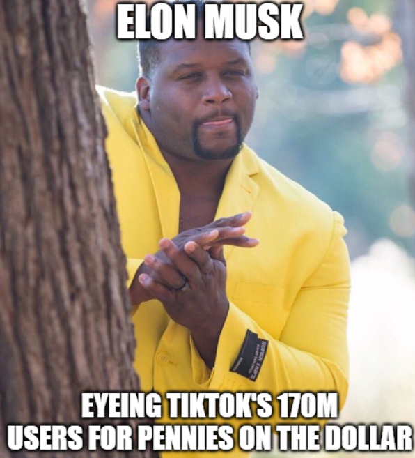 🍋 Elon to Rescue TikTok?