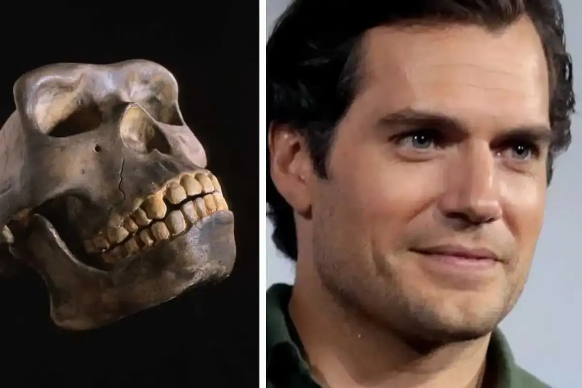Humans are the only species with chins. Here are the wildest theories ...