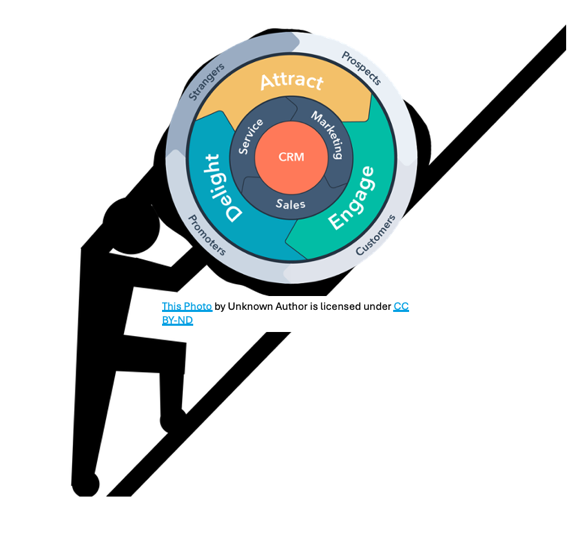 Building the Flywheel:Creating Sustainable Revenue & Profit Growth