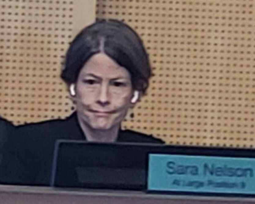 Sara Nelson Promised Good Governance: Gave us Chaos and Ineptitude