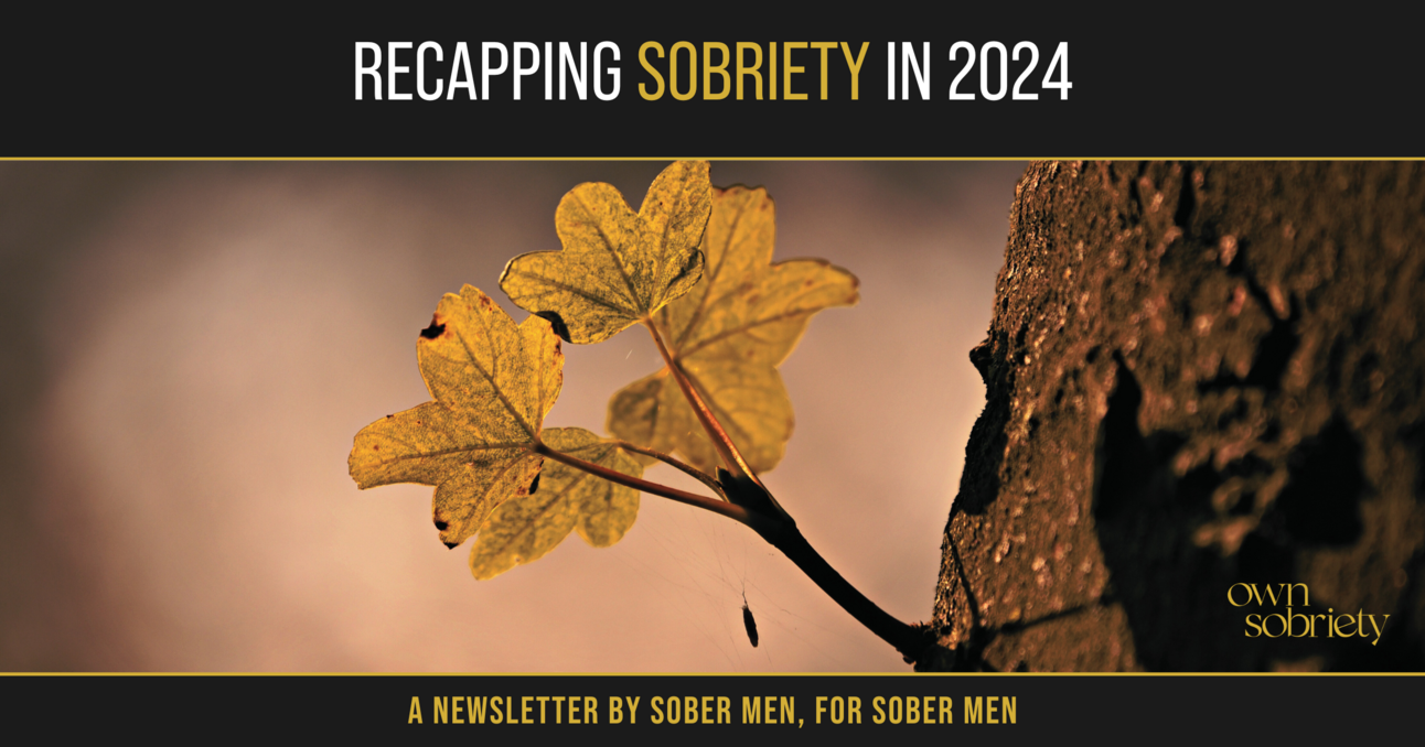 Recapping Sobriety in 2024