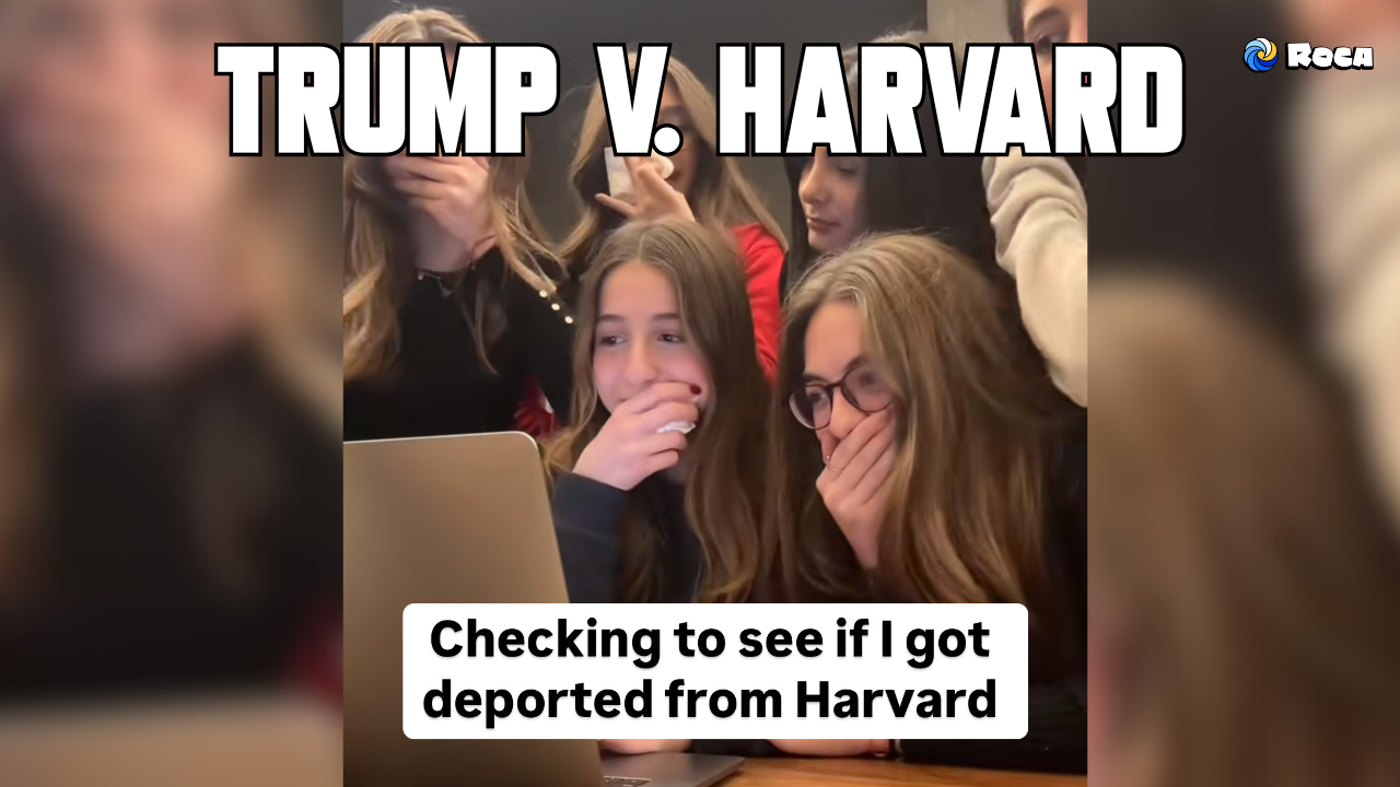 🌊 Harvard Gets Rejected