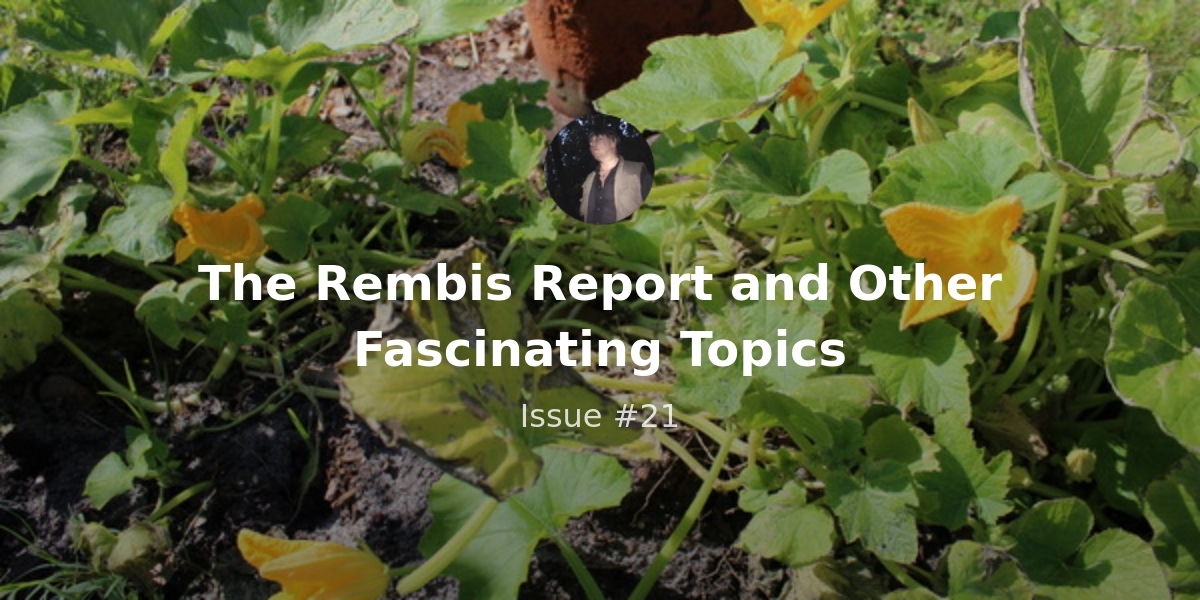 The Rembis Report and Other Fascinating Topics - Volume LV