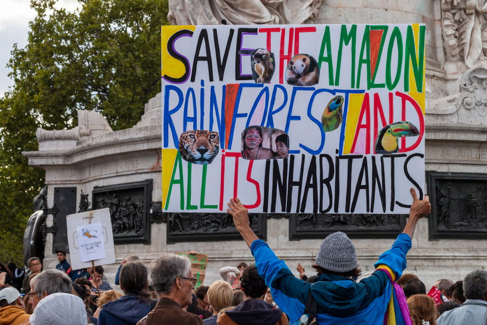 Anti-deforestation push in France a concern for Brazilian companies