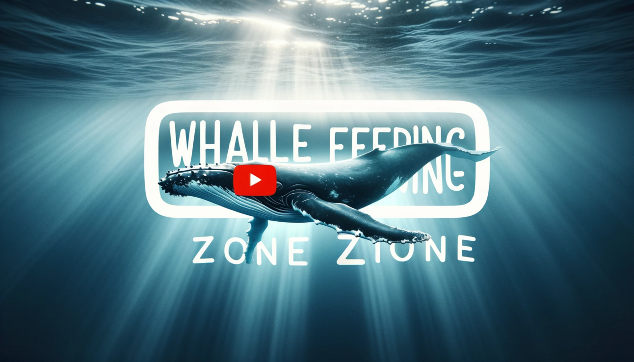 Weekend WHALE FEEDING Zones