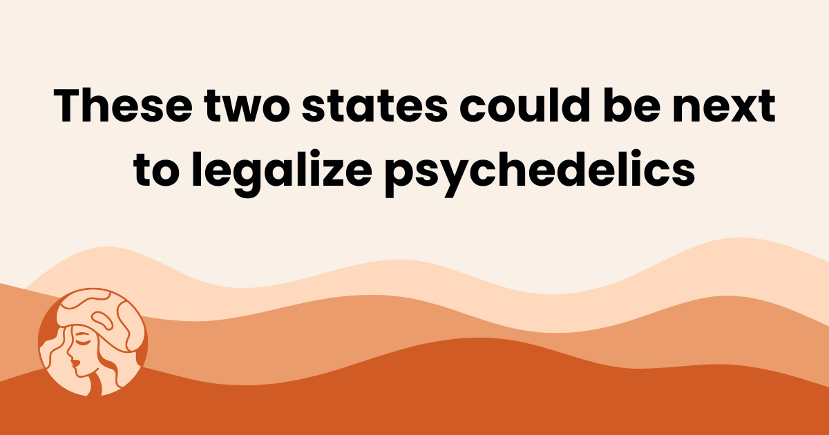 These two states could be next to legalize psychedelics