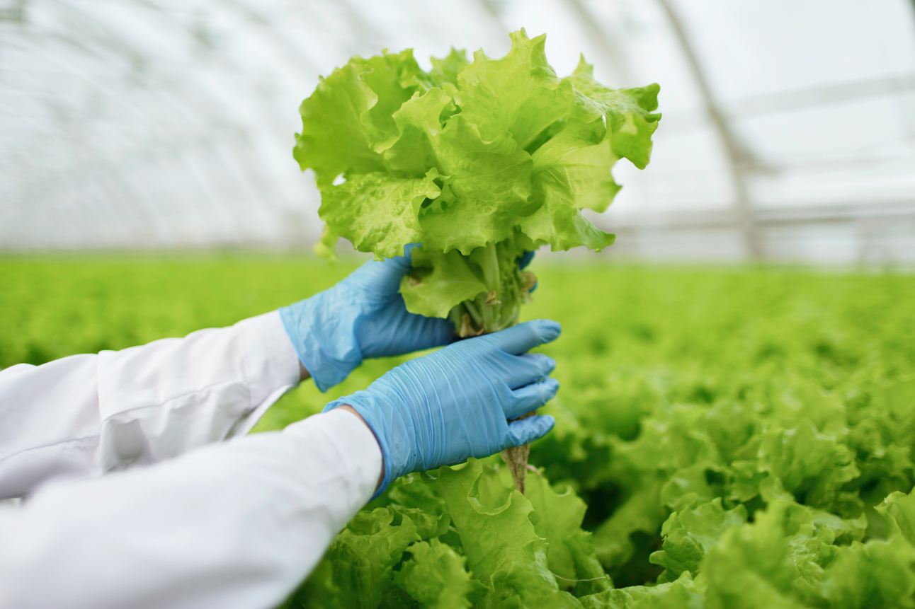 Why governments funnelled $20 million into B.C. foodtech over past two ...