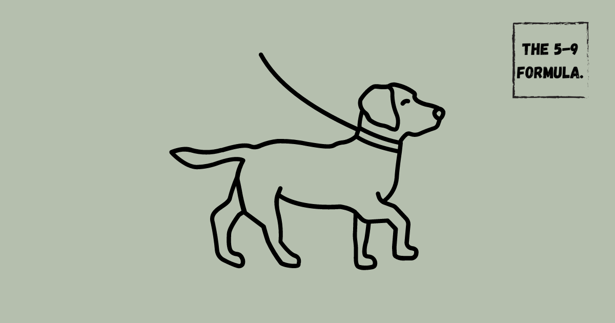 A Dog Walking Side Hustle