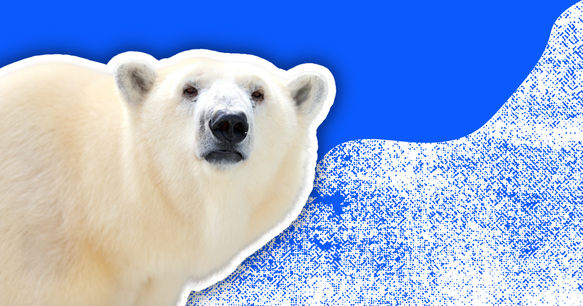 Polar Habits: The Best Habit Tracker Ever