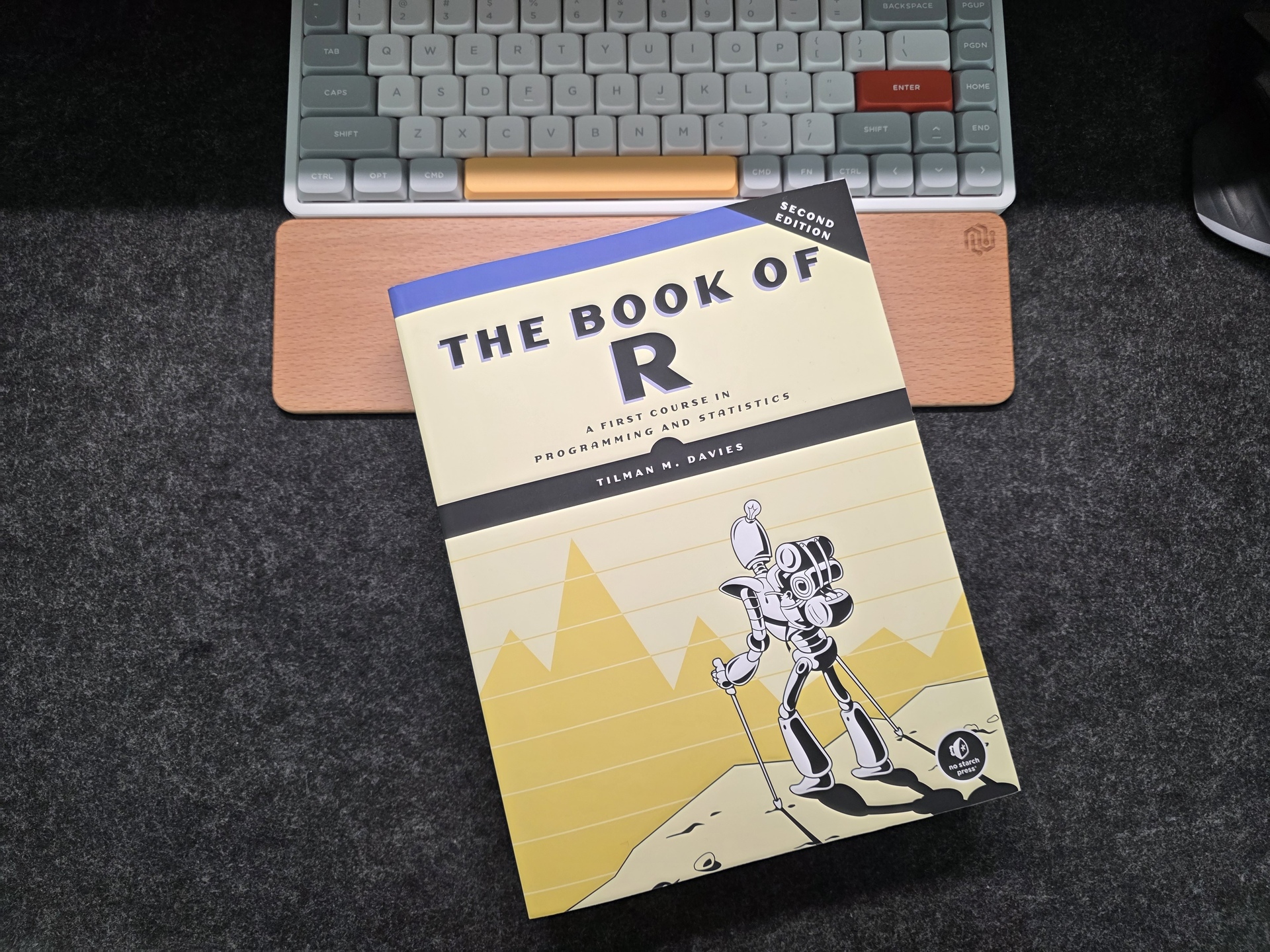 Book Review: The Book of R (2nd Edition)