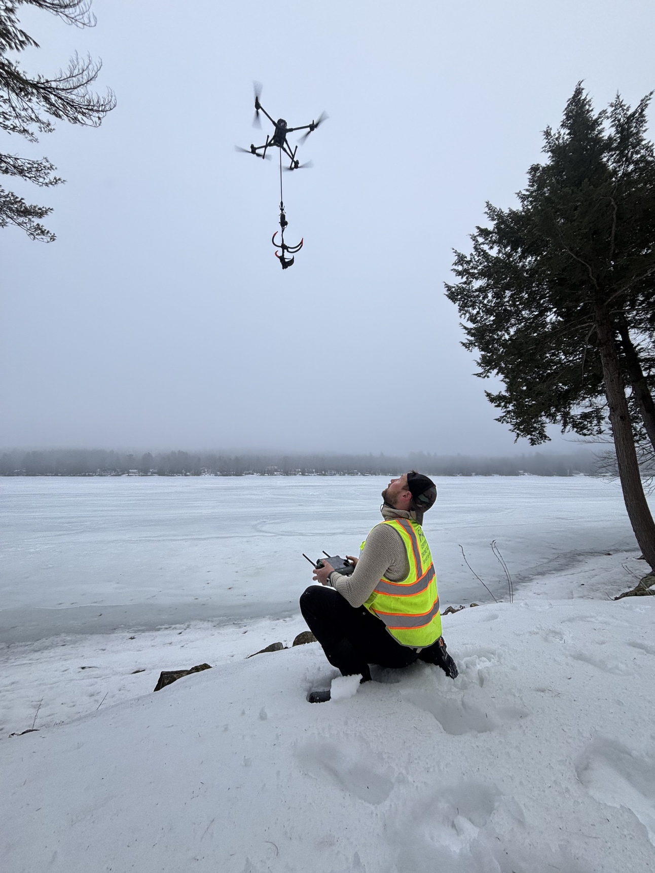 How drones might revolutionise adaptation to invasive forest pathogens