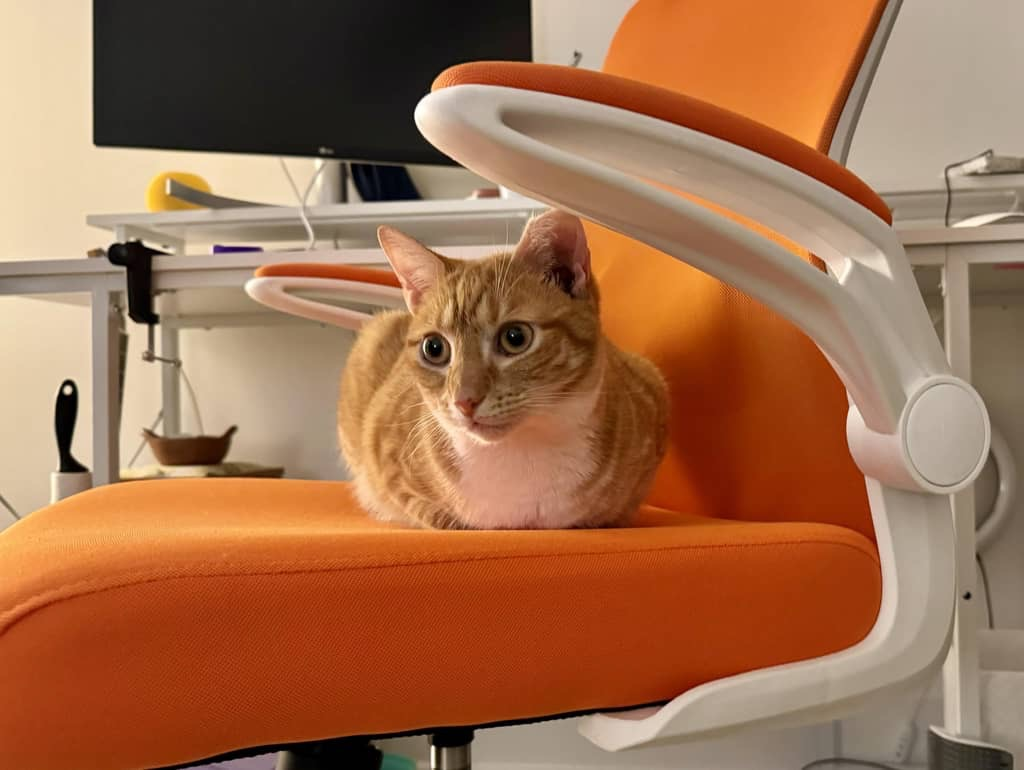 My $9 Kat Abu Investment Continues to Bear Fruit