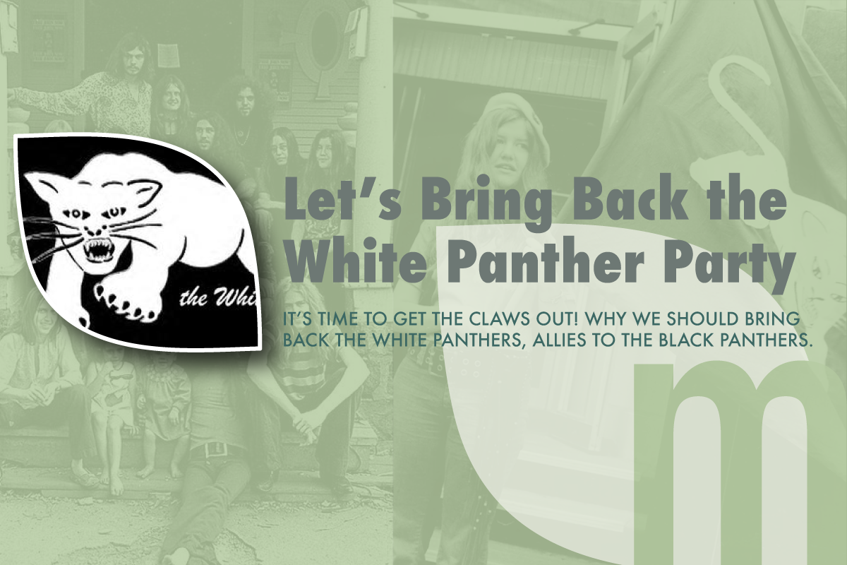 Claws Out: Let's Bring Back the White Panther Party 🐈🐈‍⬛