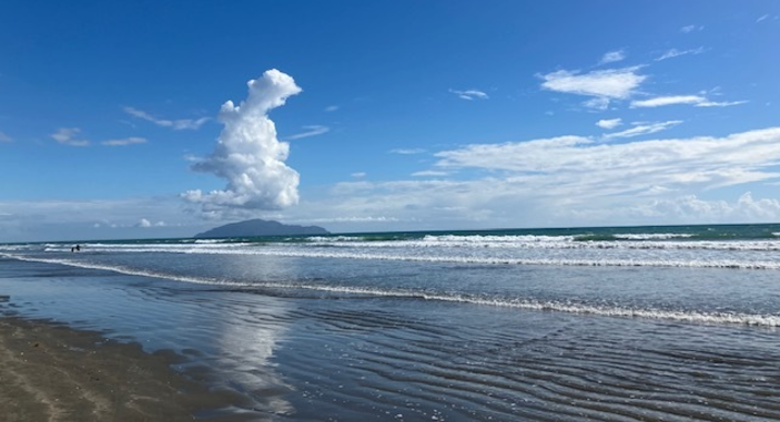 🐝 WellyBuzz: Your Weekend Guide to Wellington Events & Eats