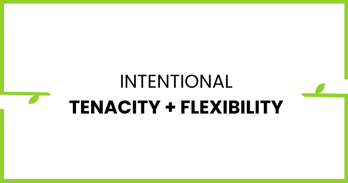 Intentional Tenacity + Flexibility