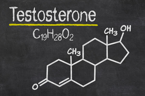 Men Need High Testosterone