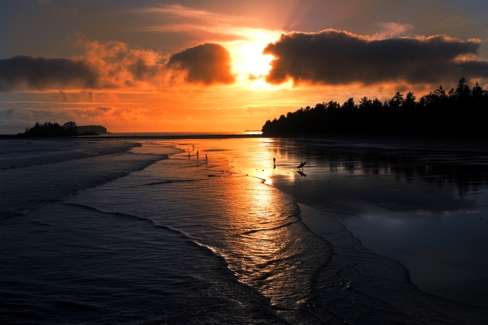 🍋 West Coast Banking Sunset