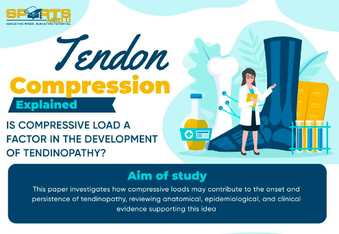 Tendon compression explained 📚🔍