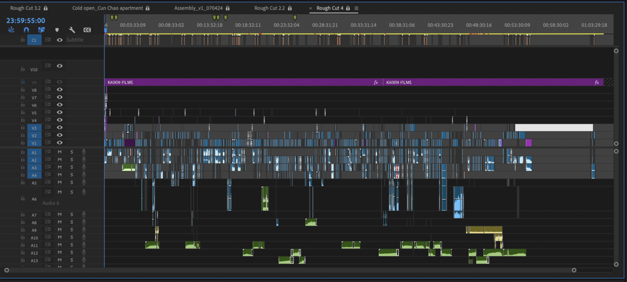 Assembly to Rough Cut