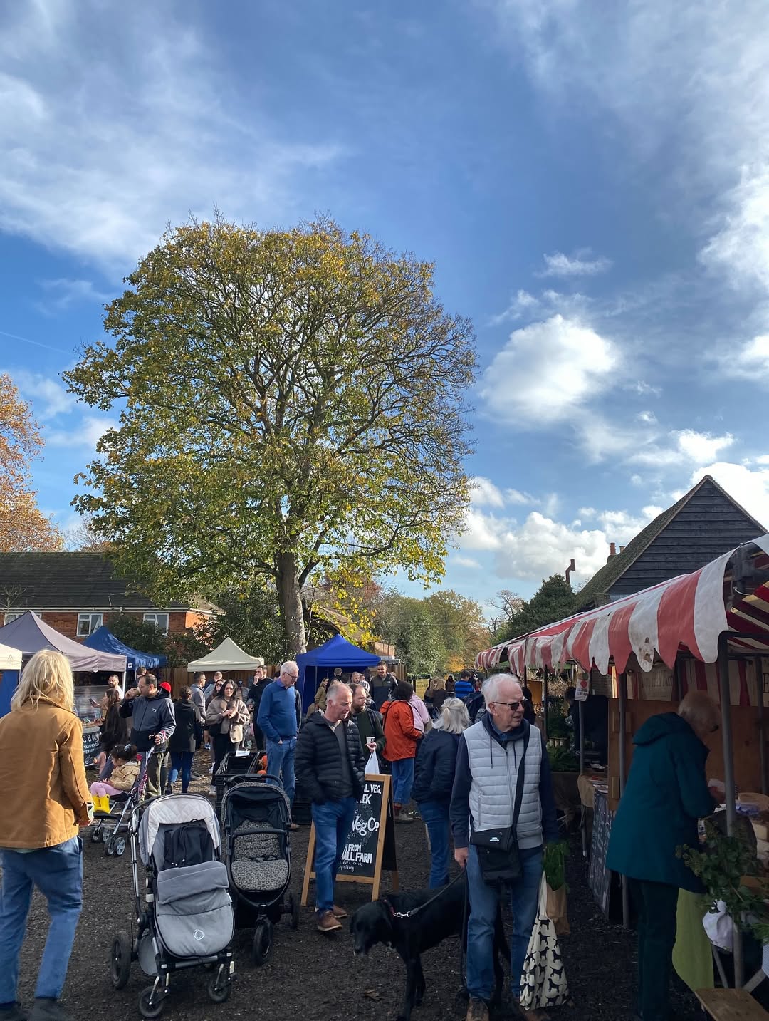 The North London Farmers Market Guide | My North London