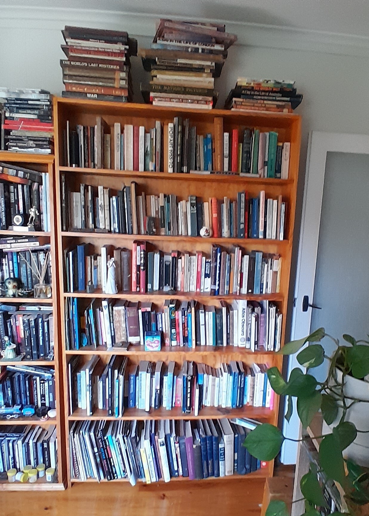 Shelfies #1: Kaaron Warren