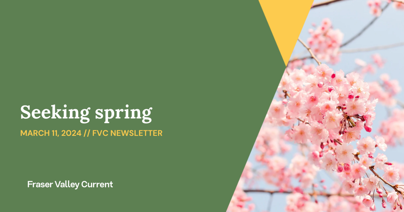 Monday - March 11, 2024 - Seeking spring